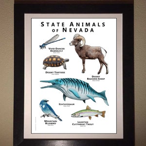 Nevada State Animals - Etsy