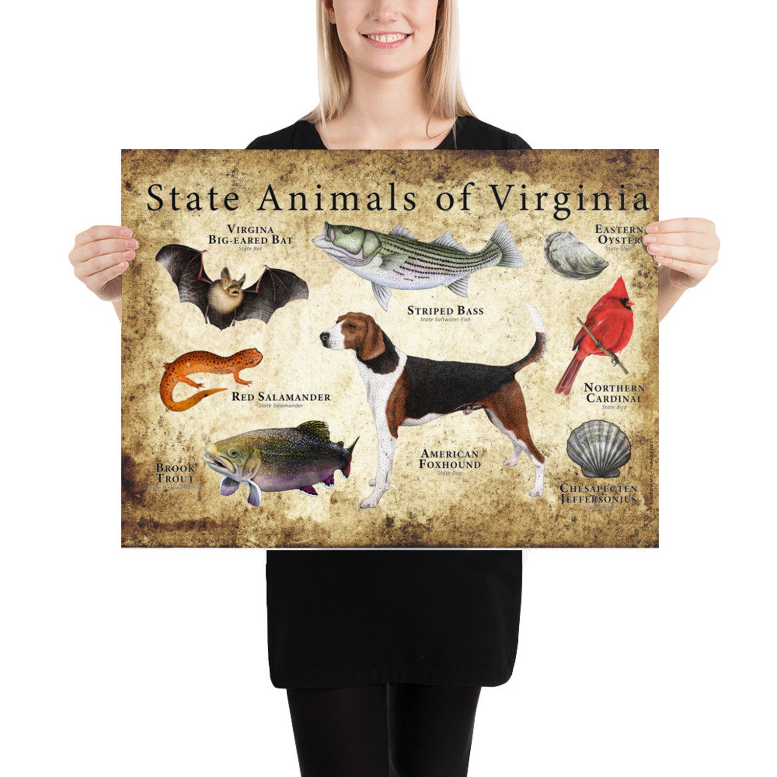 Virginia State Animals Poster Print | Etsy