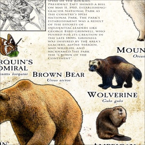 Wildlife of Glacier National Park/field Guide - SIGNED BY ARTIST! - Etsy