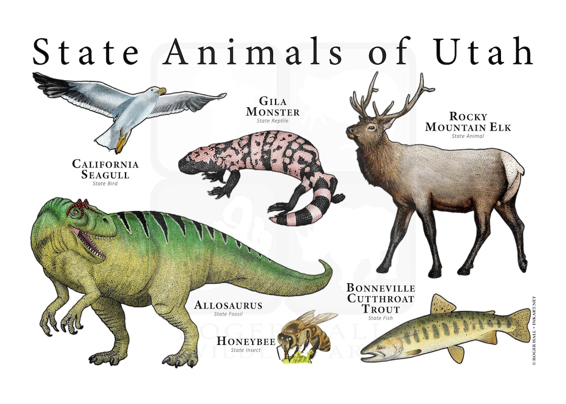Utah State Animals Poster Print | Etsy