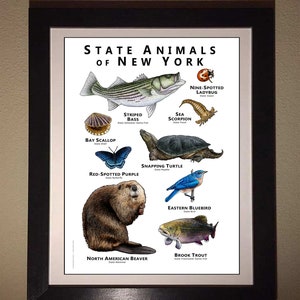 New York State Animals Poster Print - Etsy