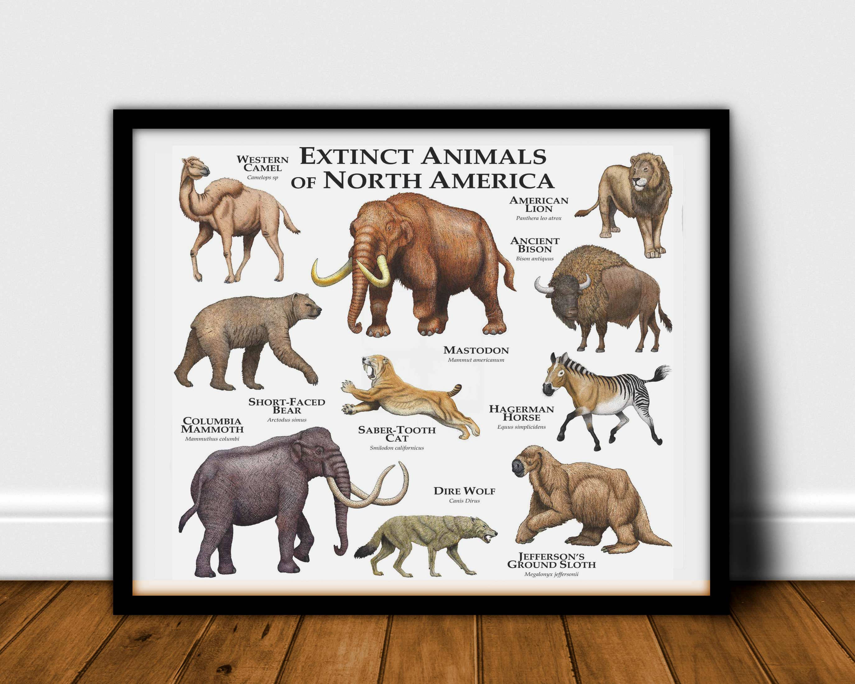 Extinct Mammals of North America Poster Print | Etsy UK