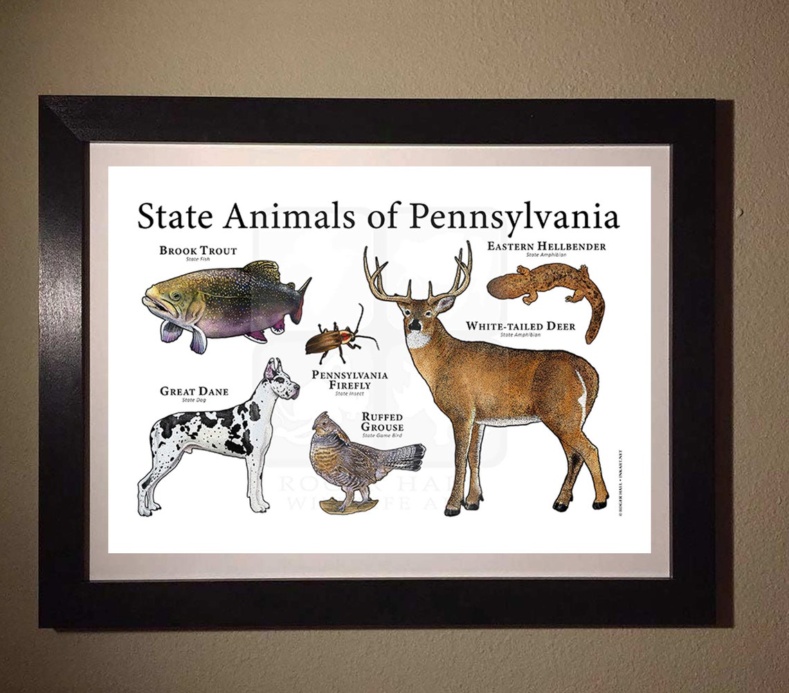 Pennsylvania State Animals Poster Print | Etsy