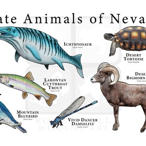 Nevada State Animals | Etsy
