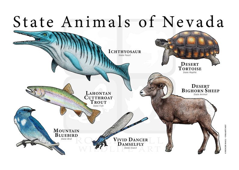 Nevada State Animals | Etsy