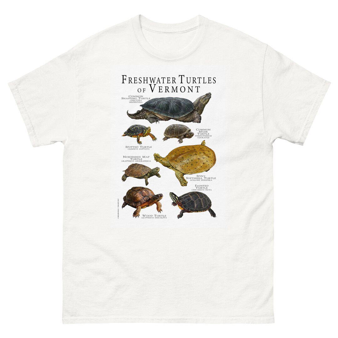Freshwater Turtles of Vermont Men's Classic Tee - Etsy