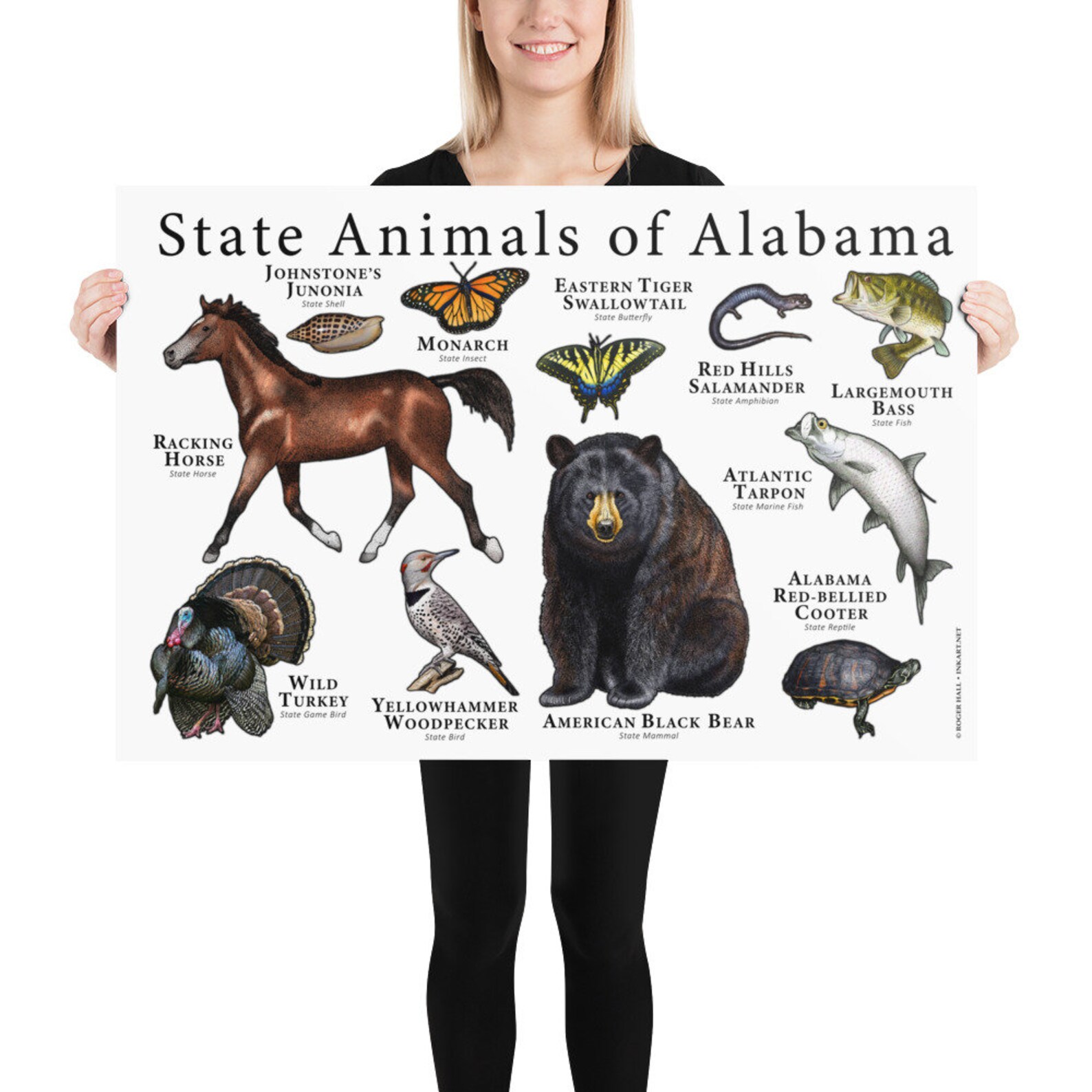 Alabama State Animals Poster - Etsy