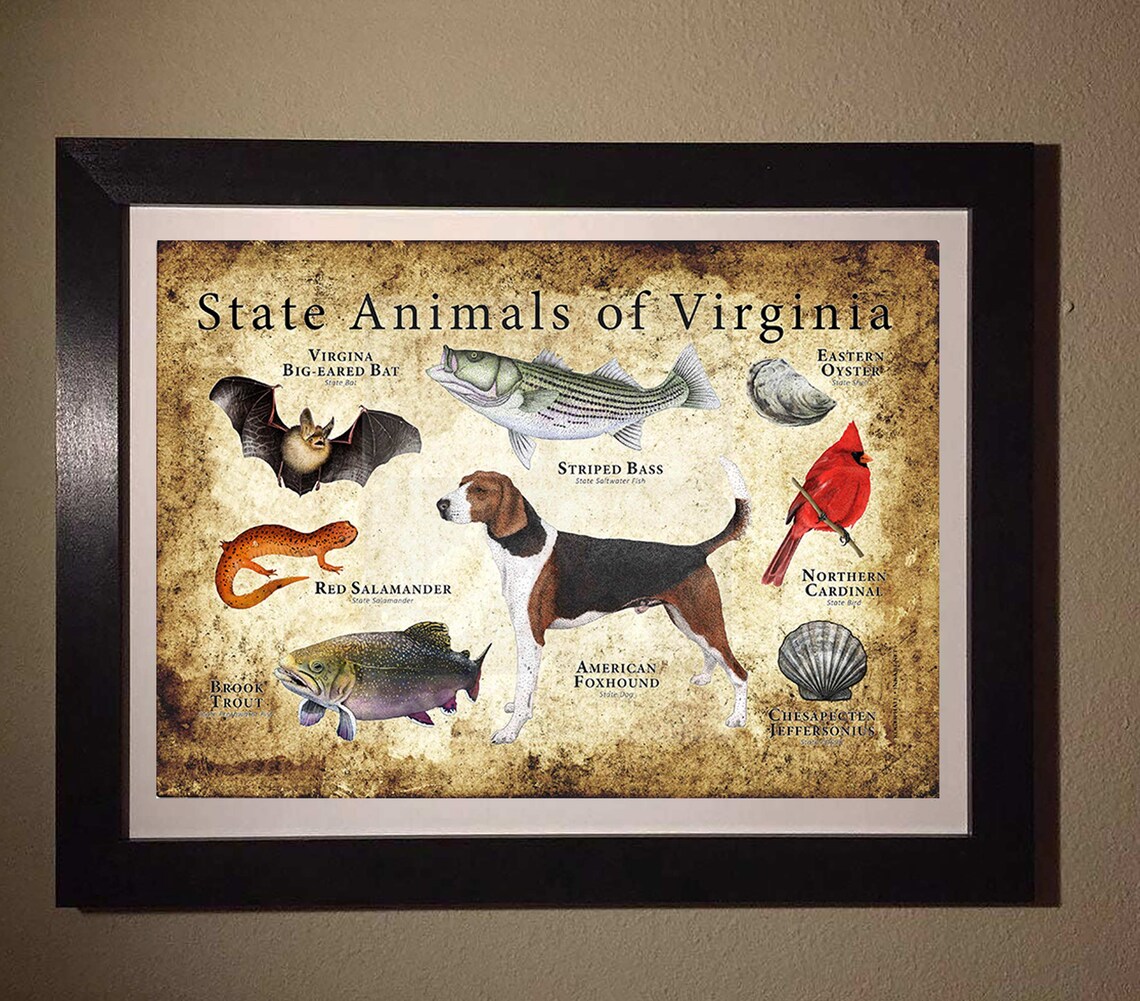 Virginia State Animals Poster Print | Etsy