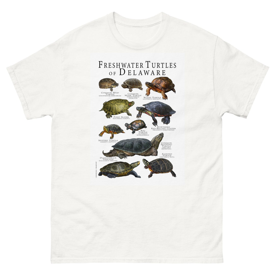 Freshwater Turtles of Delaware Men's Classic Tee - Etsy