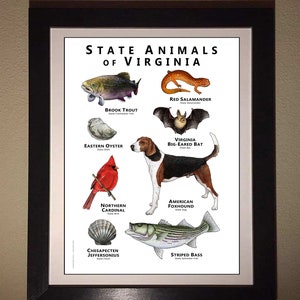 Virginia State Animals Poster Print - Etsy