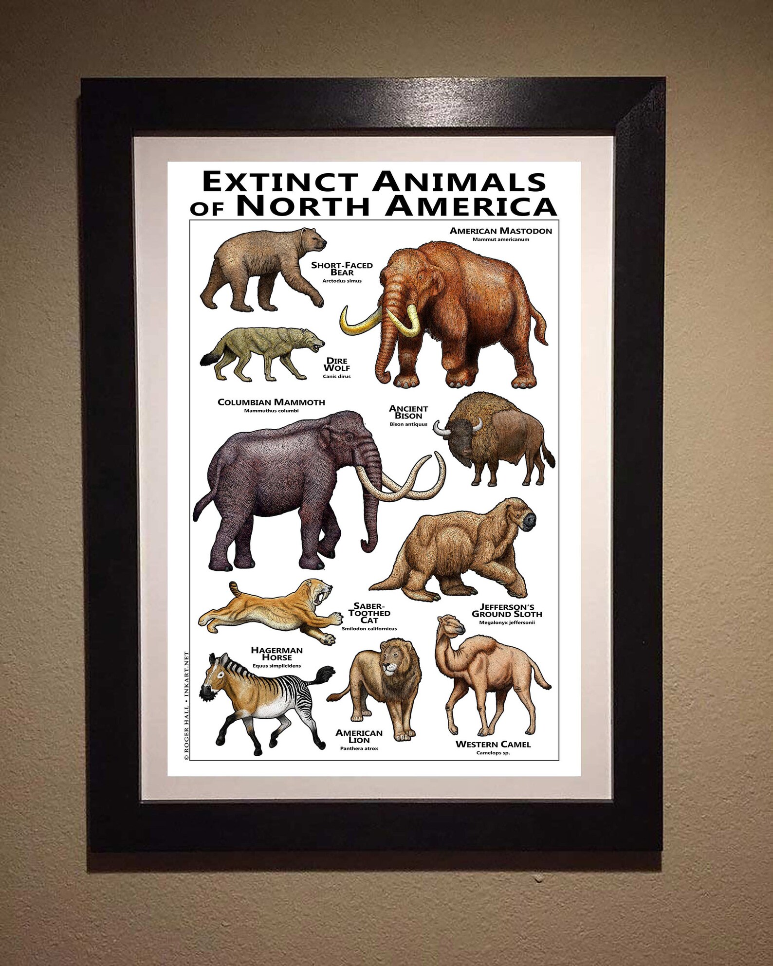 Extinct Animals of North America Poster - Etsy Canada