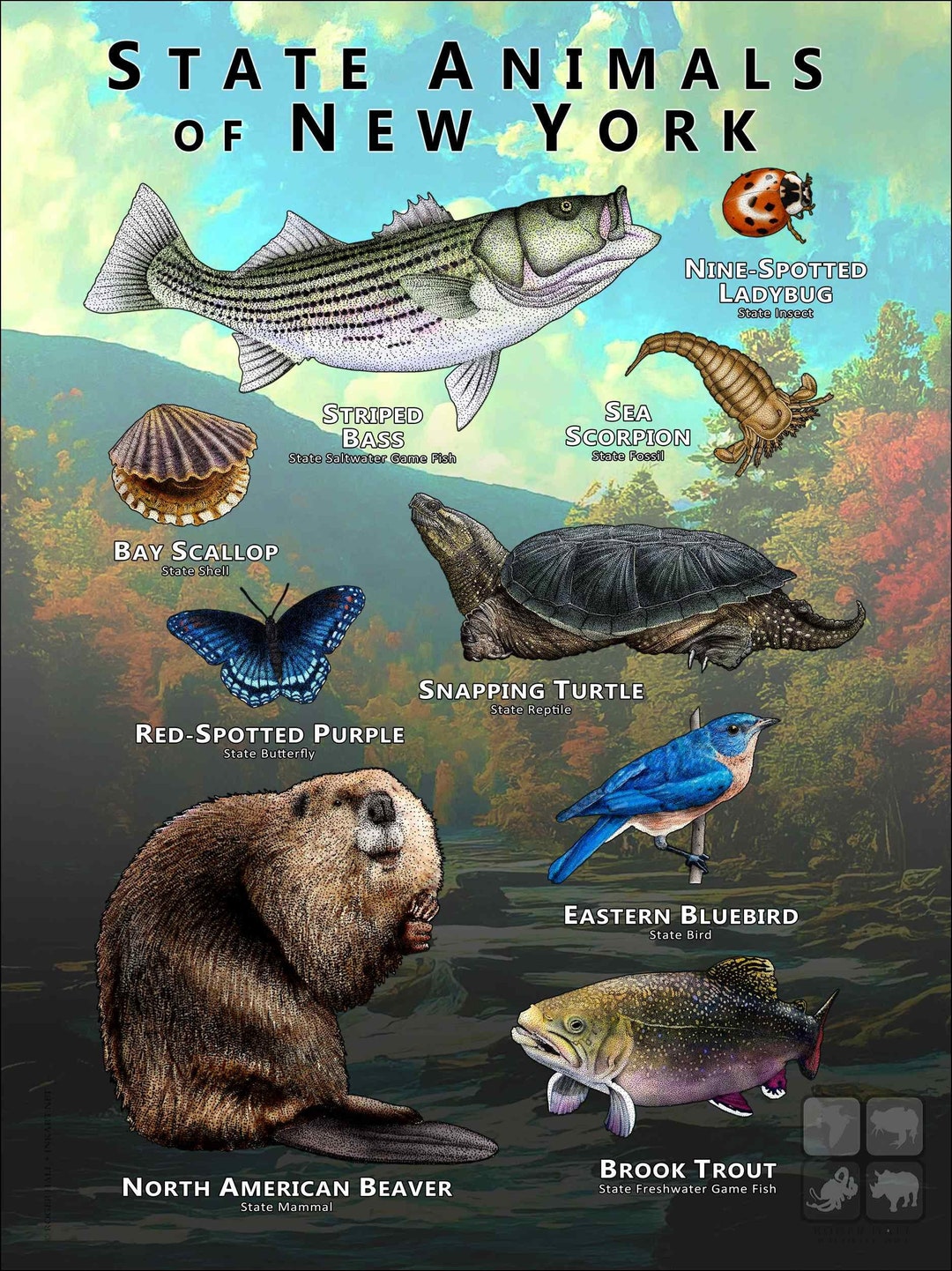 New York State Animals Poster Print - Etsy