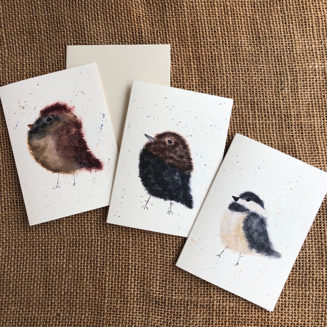 Set of Watercolor Bird Note Cards, Cowbird, Chickadee, Cardinal, Bird ...