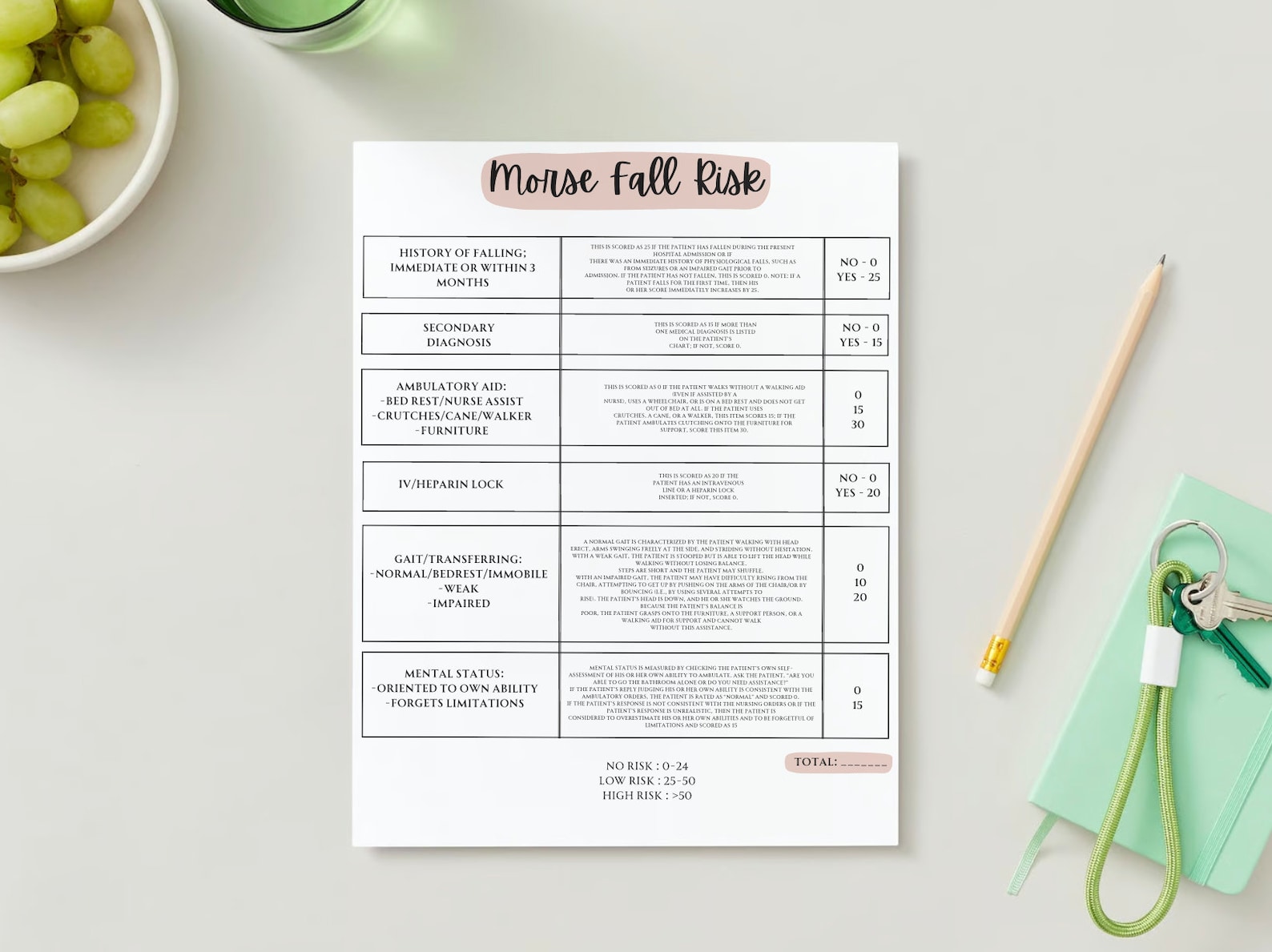 Nursing Braden Scale and Morse Fall Risk Document - Etsy