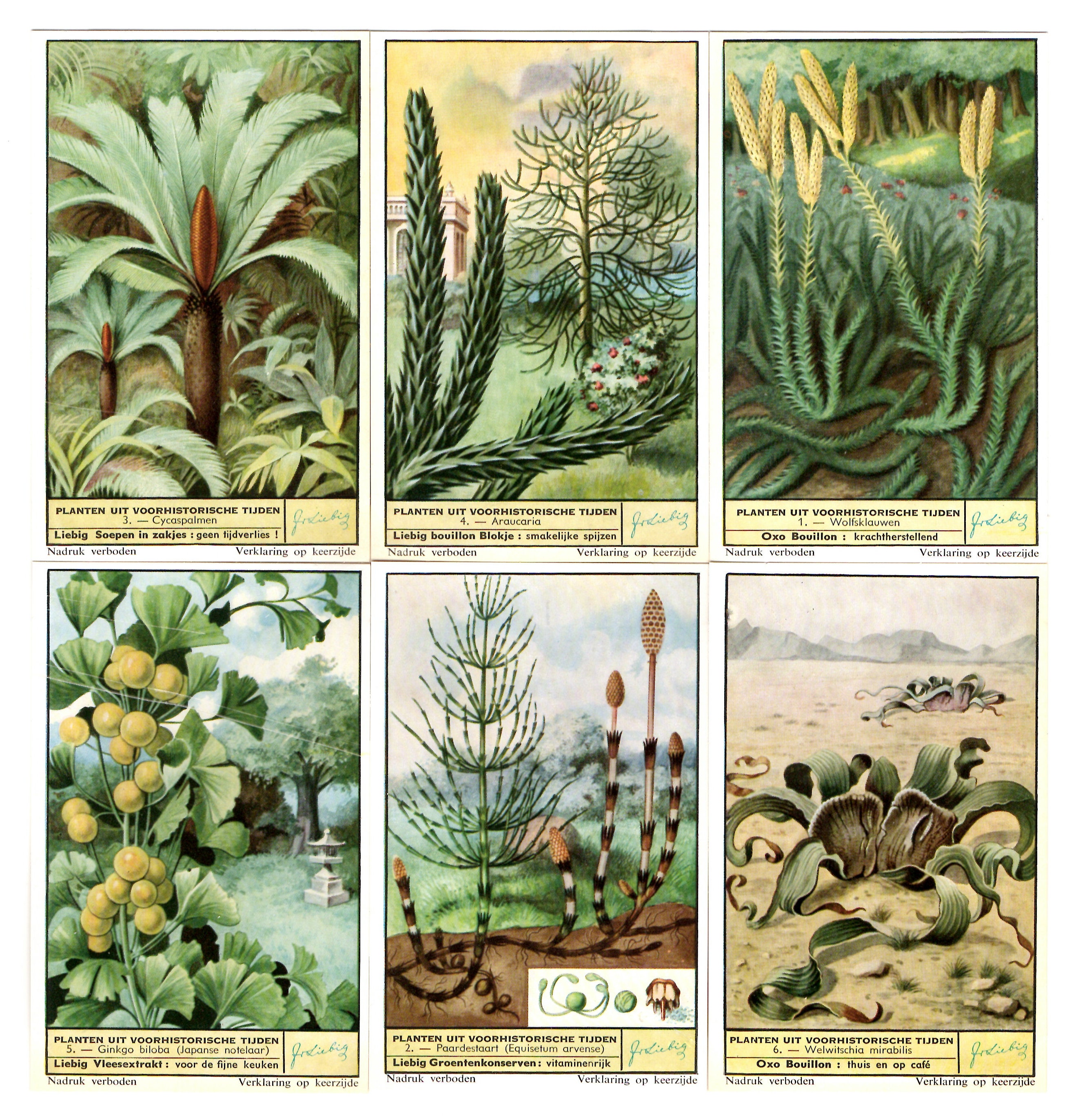 1958 Prehistoric Plants Flora Full Set of 6 Vintage Belgian Liebig ...