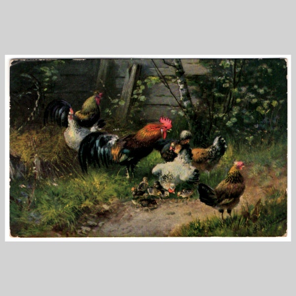 Rooster Postcard - Etsy