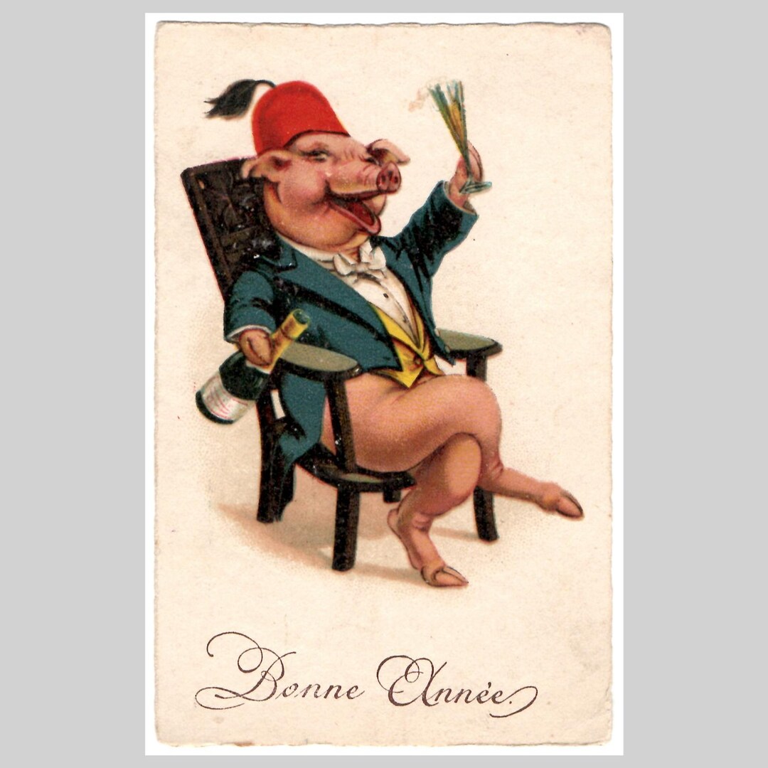 Vintage Pig Postcard - Humorous Funny Anthropomorphic Pig Fez Hat ...