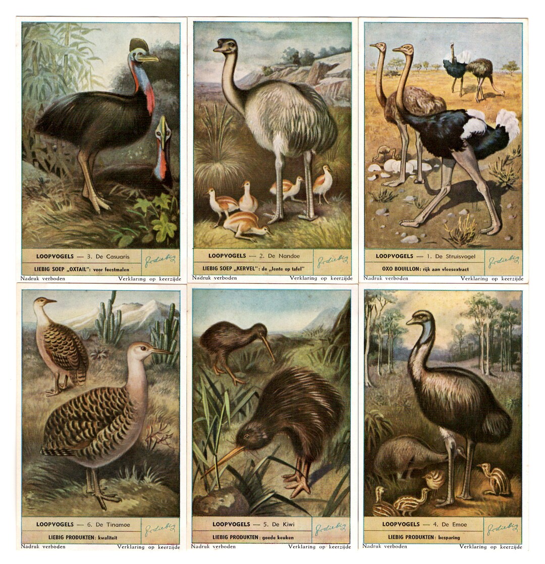1953 Flightless Birds Full Set of 6 Vintage Belgian Liebig - Etsy