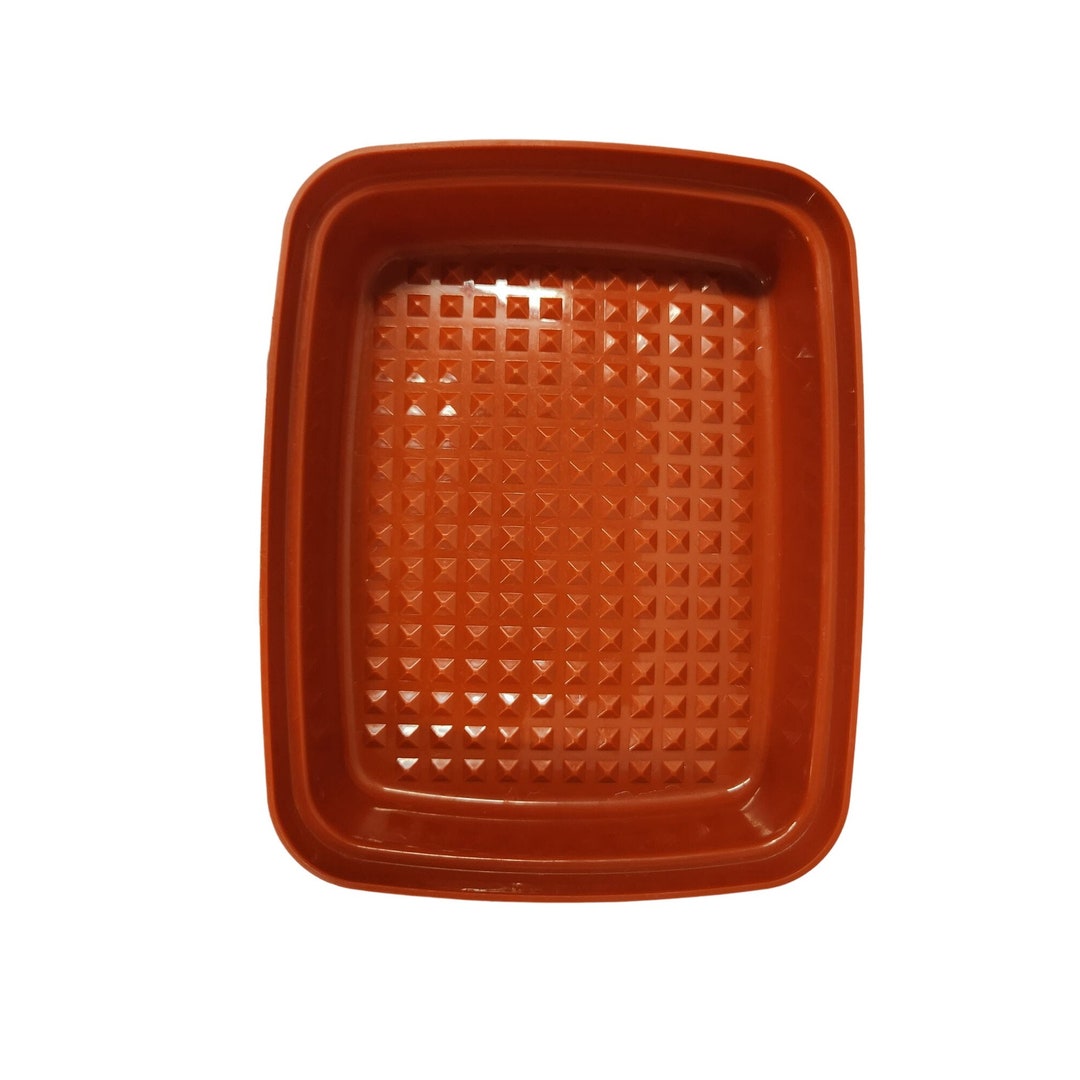 Vintage Tupperware Paprika Red Meat Marinade Storage Container # 1518 ...