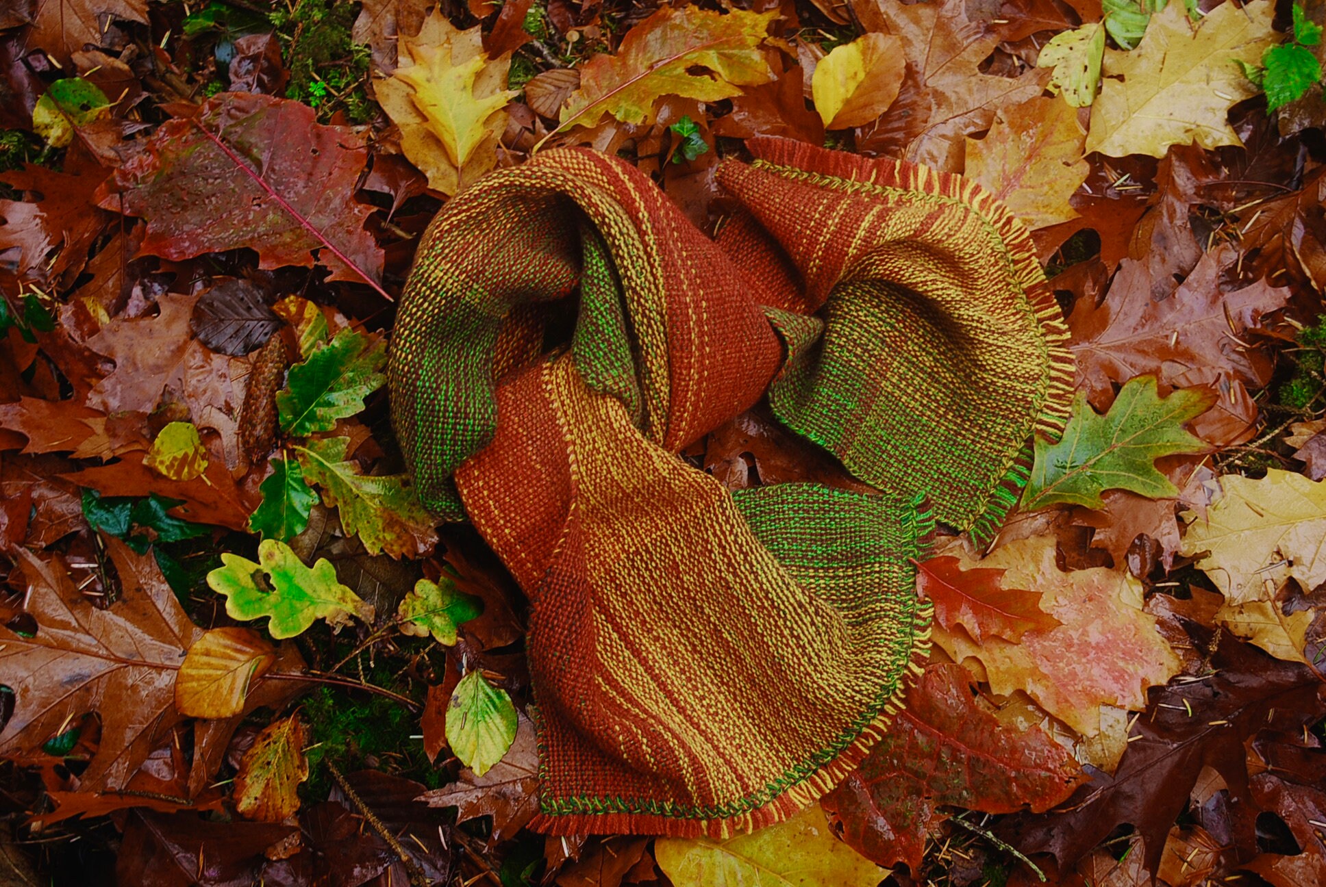 Autumn Sunburst Tartan Scarf Handwoven in Non-mulesed Merino Lambswool ...