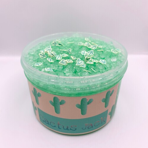 Cactus Slushy Slime - Etsy