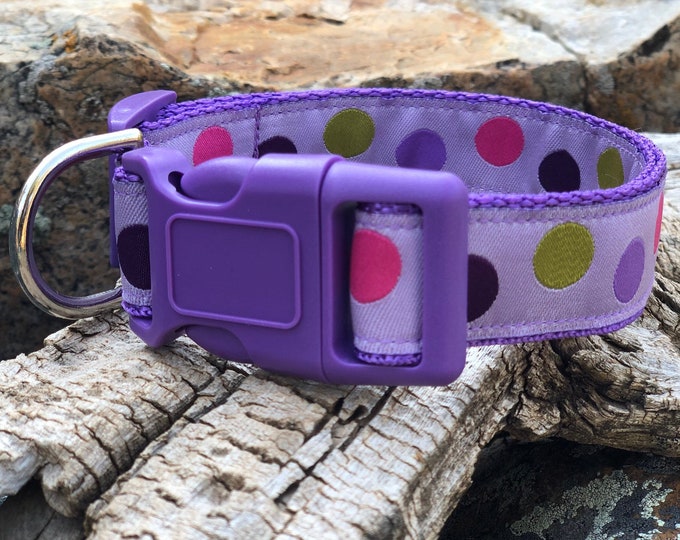 Purple Polka Dot Dog Collar Purple Dog Collars Multi Colored Dog ...