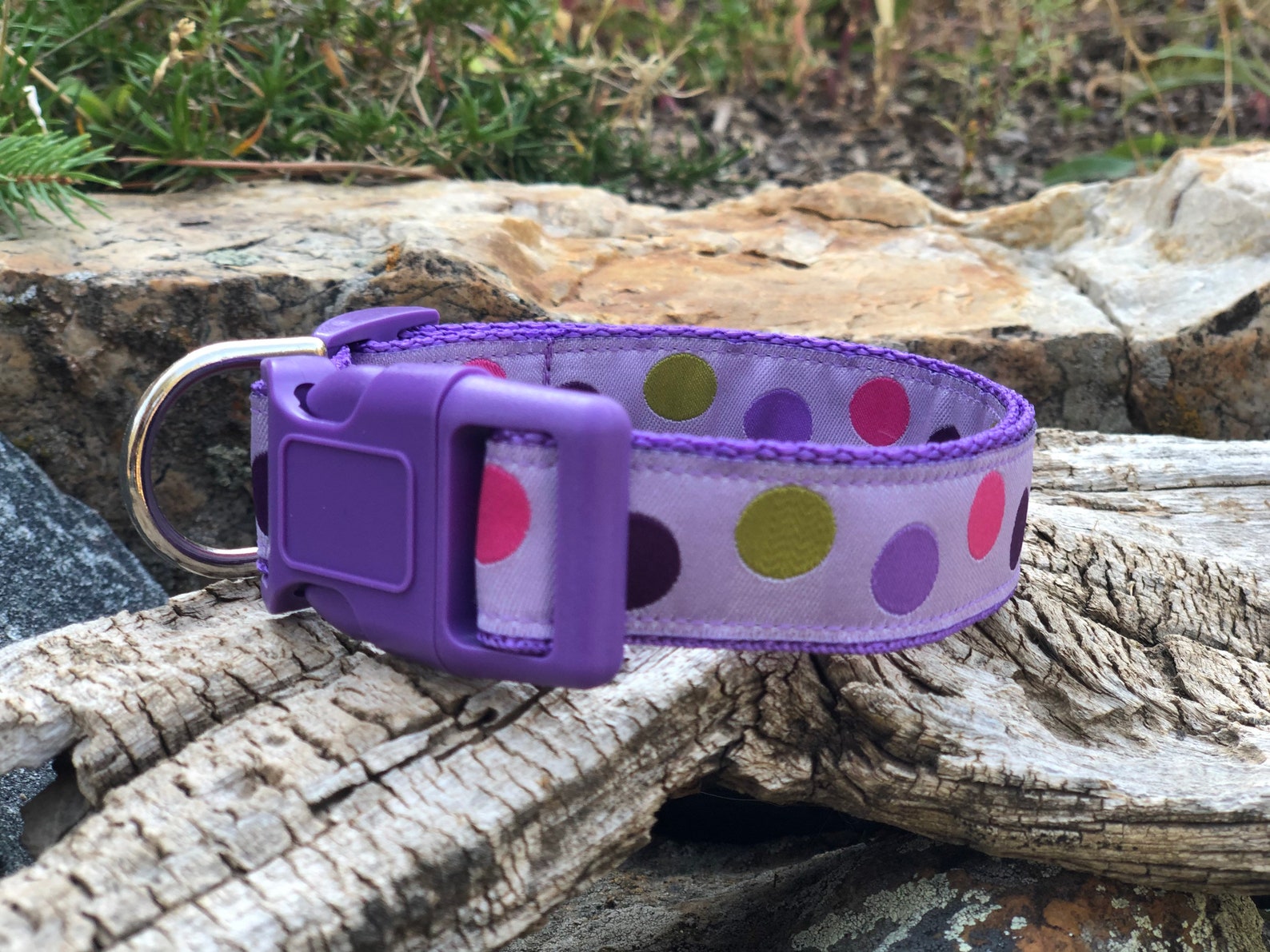 Purple Polka Dot Dog Collar - Purple Dog Collars - Multi Colored Dog ...