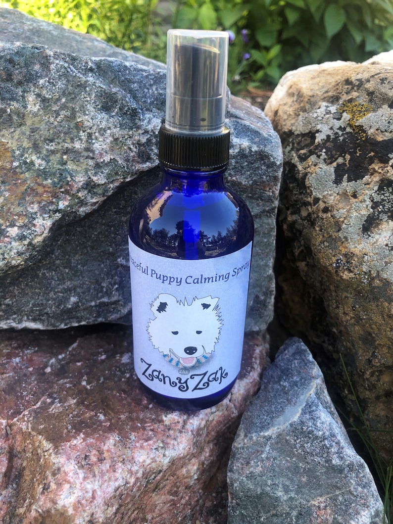 Dog Calming Spray - Anxious Dogs - Puppy Calming Spray - All Natural ...