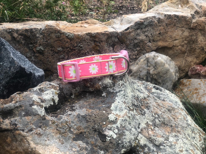 Pink Daisy Dog Collar - Daisy Dog Collars - Pink Dog Collars - Flower ...