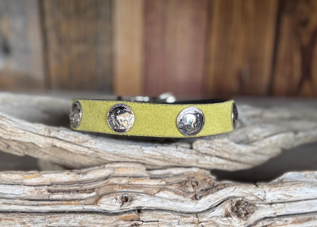 Buffalo Head Nickel Dog Collar - Buffalo Head Nickel Gifts - Leather ...