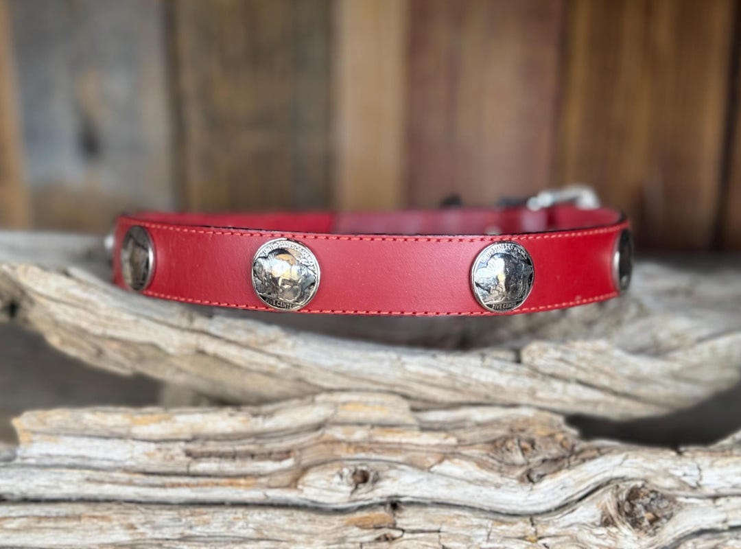 Buffalo Head Nickel Dog Collar - Buffalo Head Nickel Gifts - Leather ...