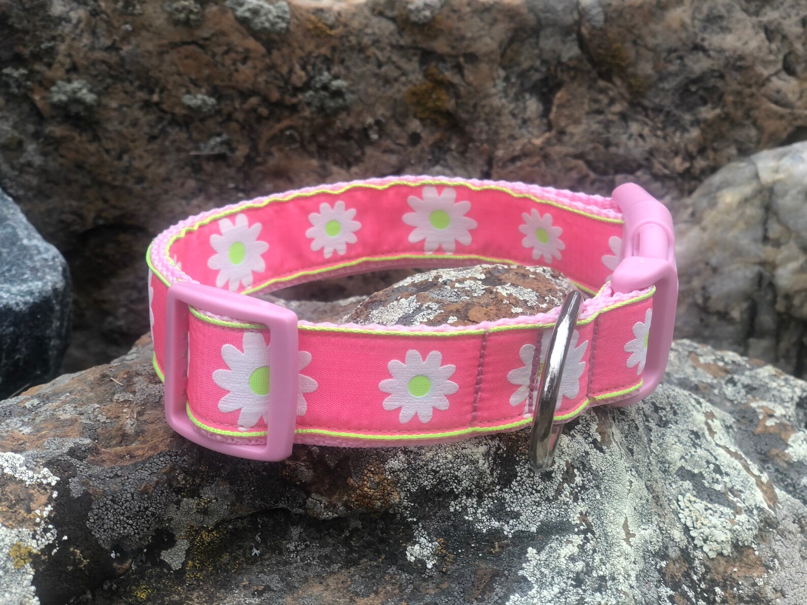 Pink Daisy Dog Collar - Daisy Dog Collars - Pink Dog Collars - Flower ...