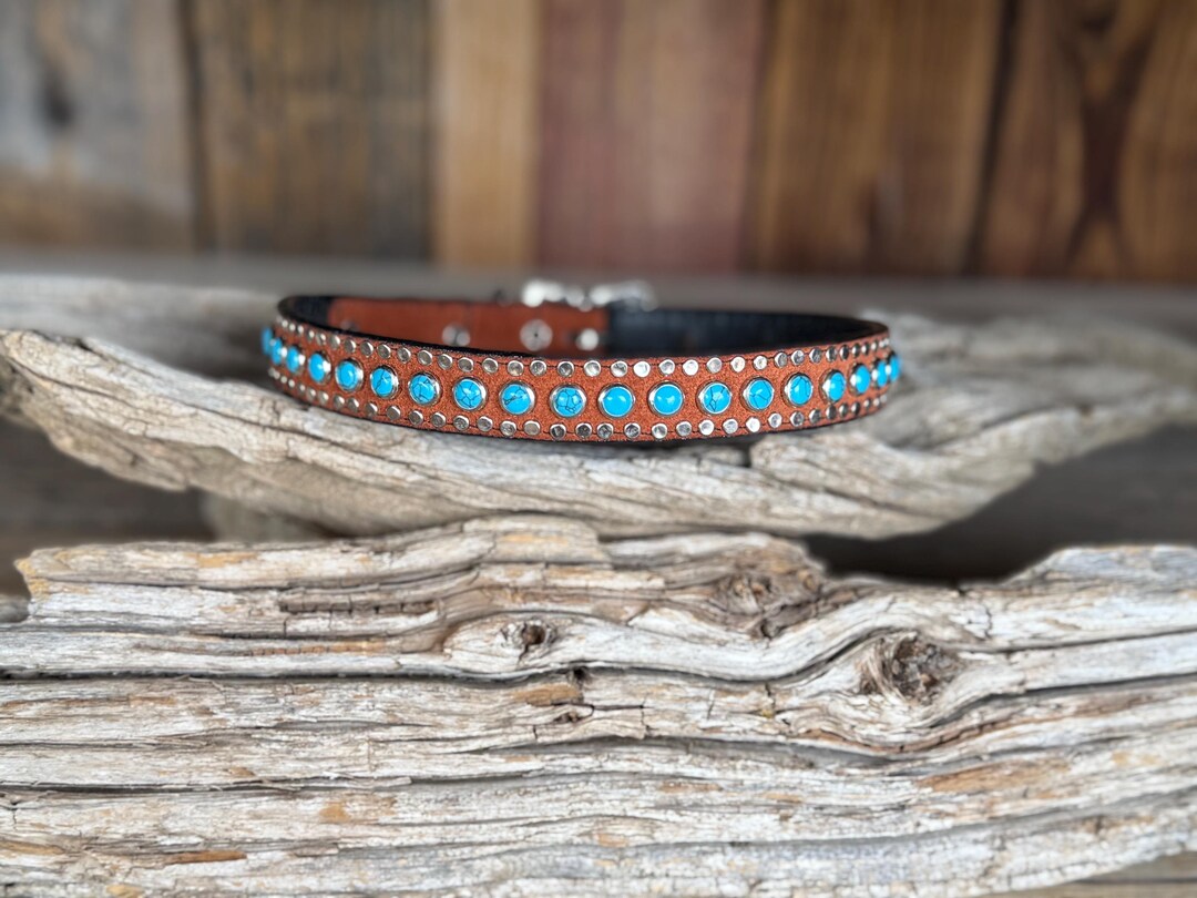 Turquoise Like Studded Dog Collar - Leather Dog Collar - Turquoise and ...