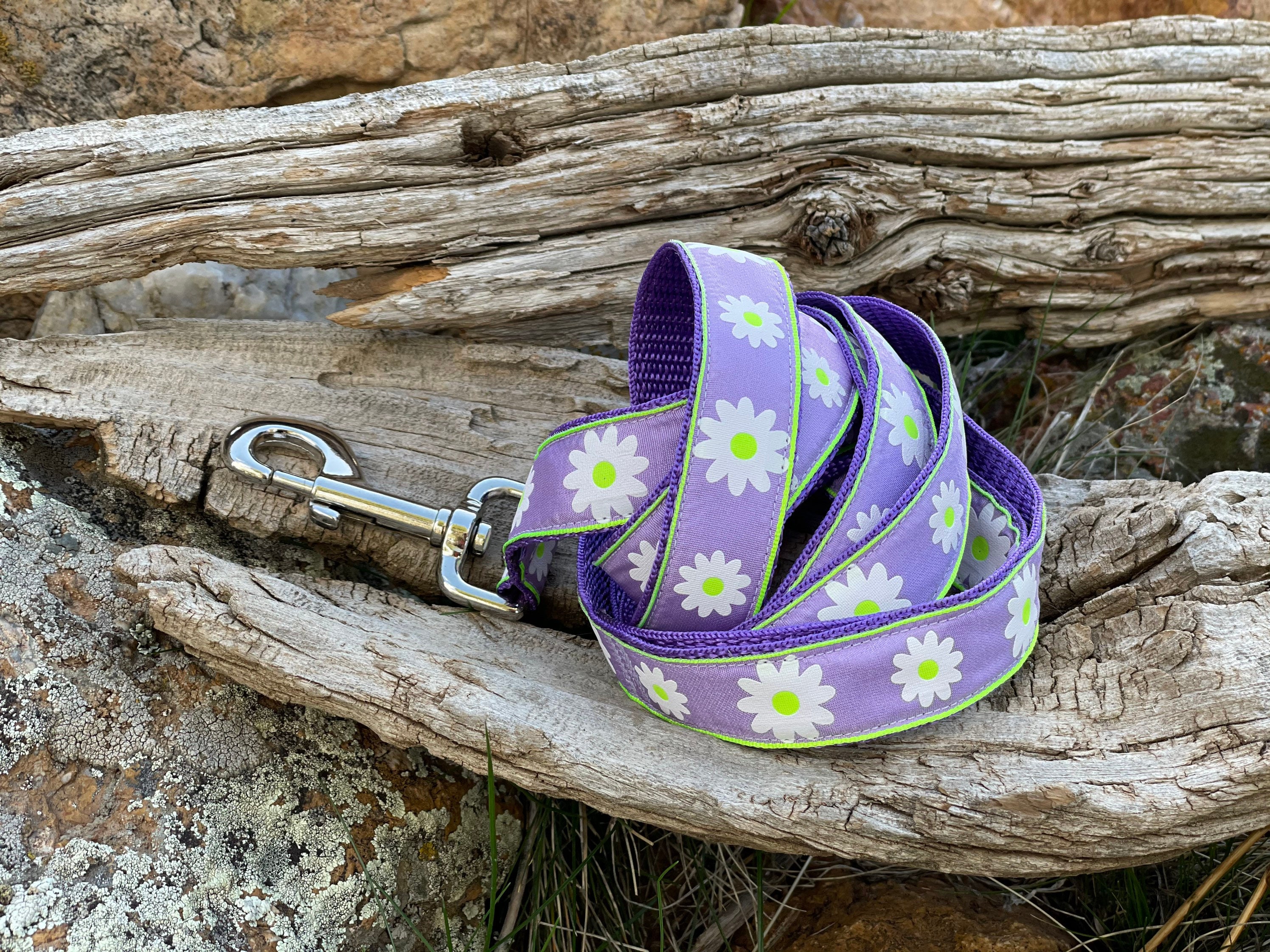 Purple Daisy Dog Leash Lavendar Daisy Dog Leash Flower Dog | Etsy