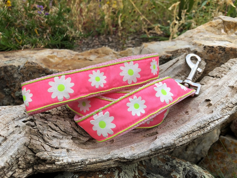 Pink Daisy Dog Collar - Daisy Dog Collars - Pink Dog Collars - Flower ...
