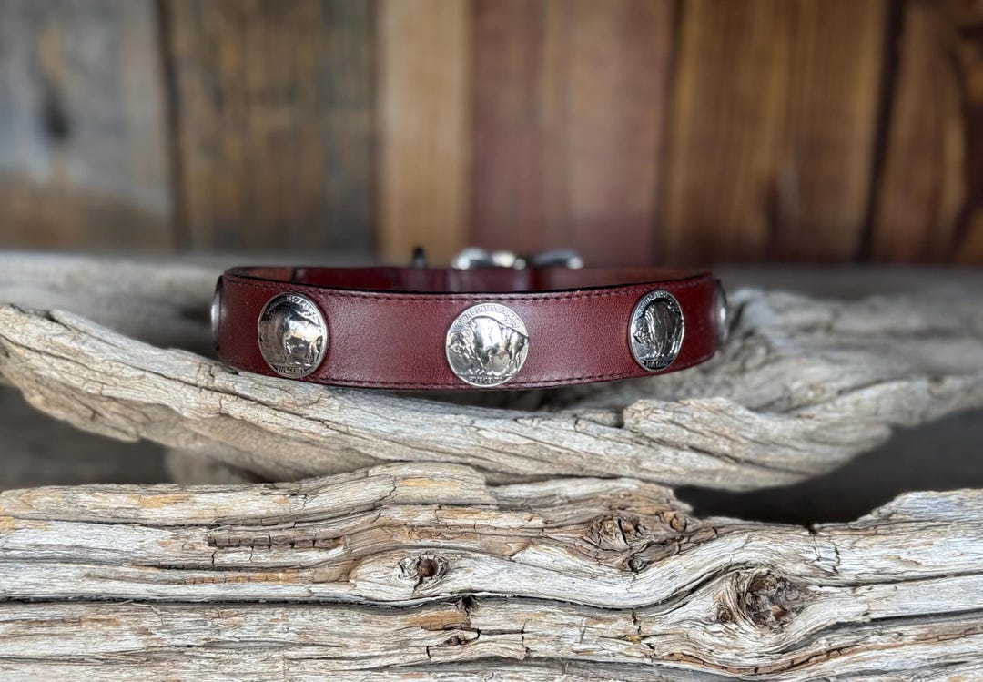 Buffalo Head Nickel Dog Collar - Buffalo Head Nickel Gifts - Leather ...
