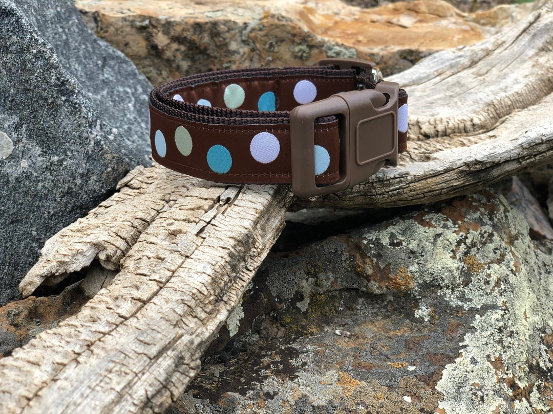 Dot Dog Collars -turquoise Polka Dot Dog Collar - Polka Dot Dog Collar ...
