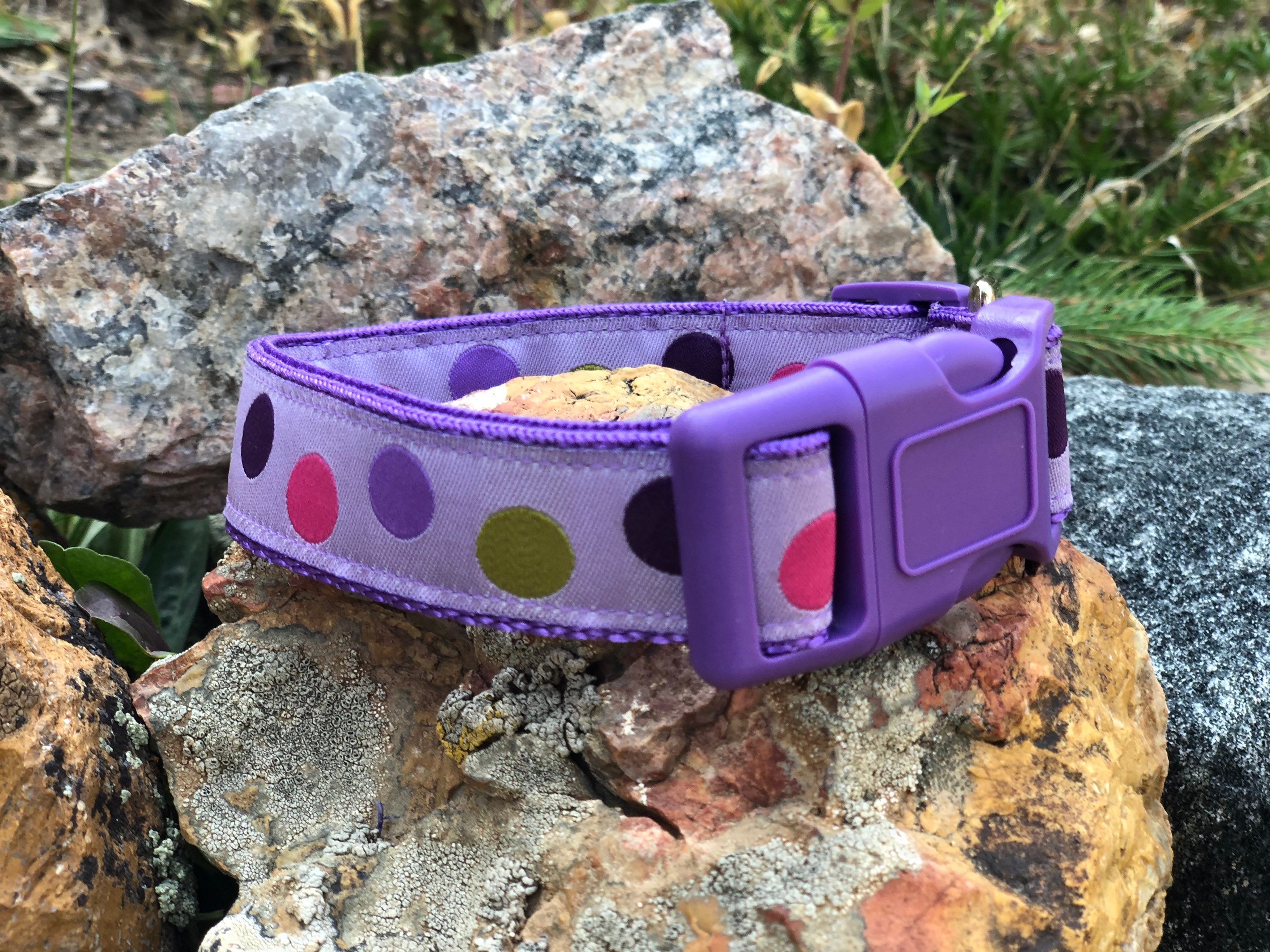 Purple Polka Dot Dog Collar - Purple Dog Collars - Multi Colored Dog ...