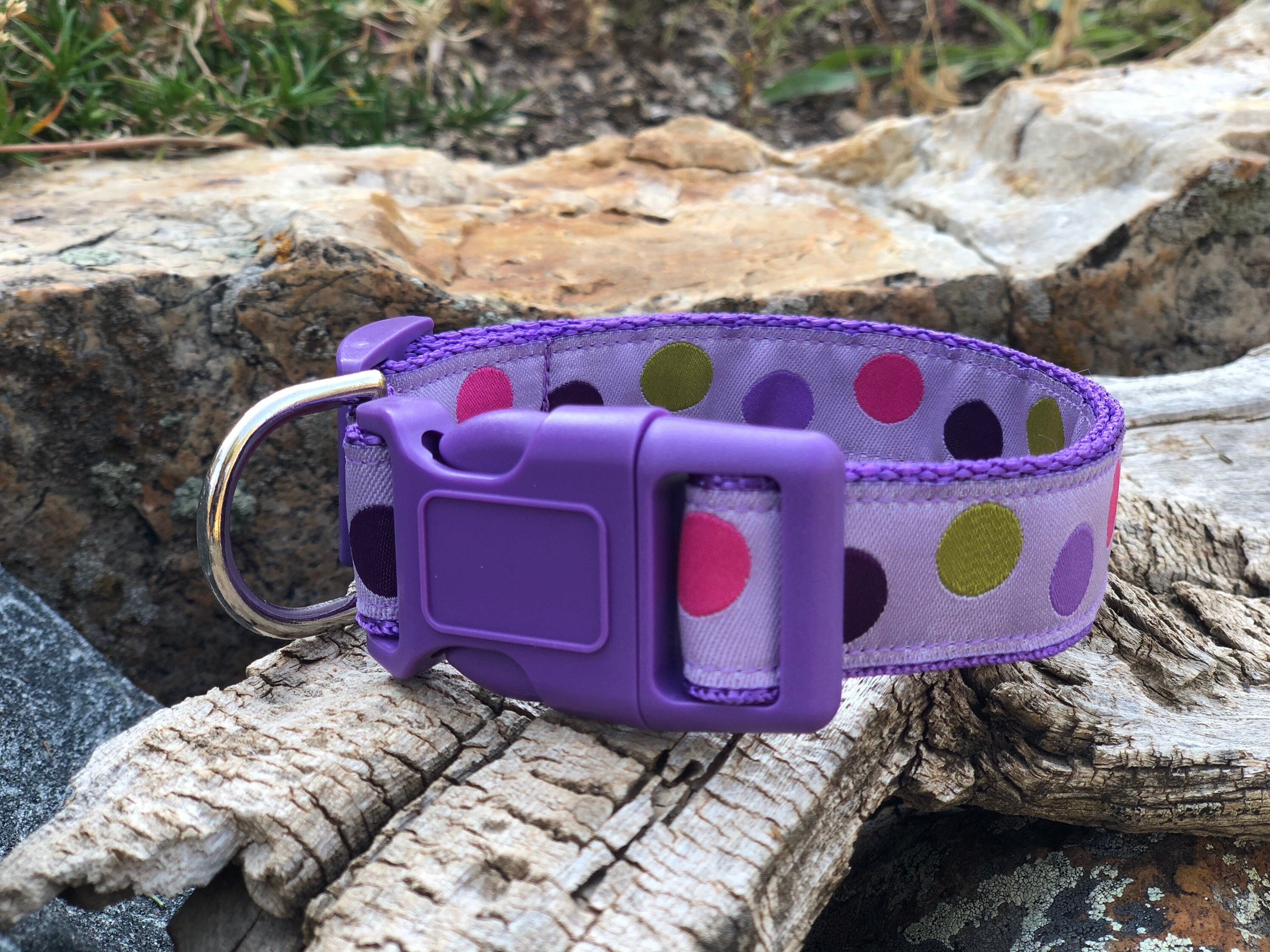 Purple Polka Dot Dog Collar - Purple Dog Collars - Multi Colored Dog ...