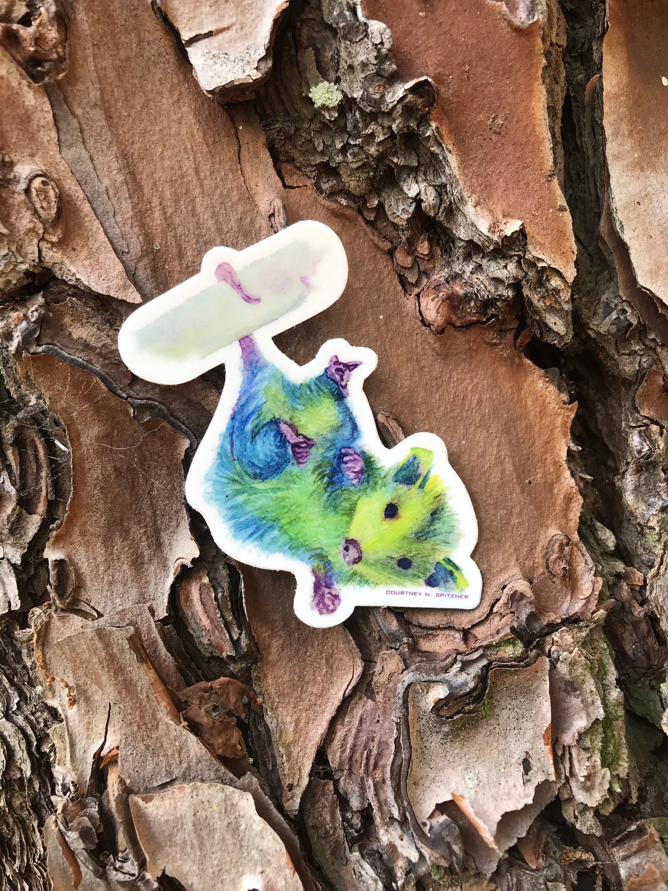 Watercolor Opossum Vinyl Decal Sticker - Etsy