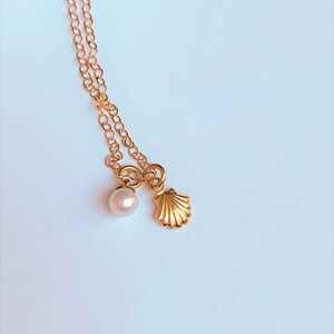 Tiny Seashell Pearl Necklace in 14K Gold - Seashell Clam With Pearl ...