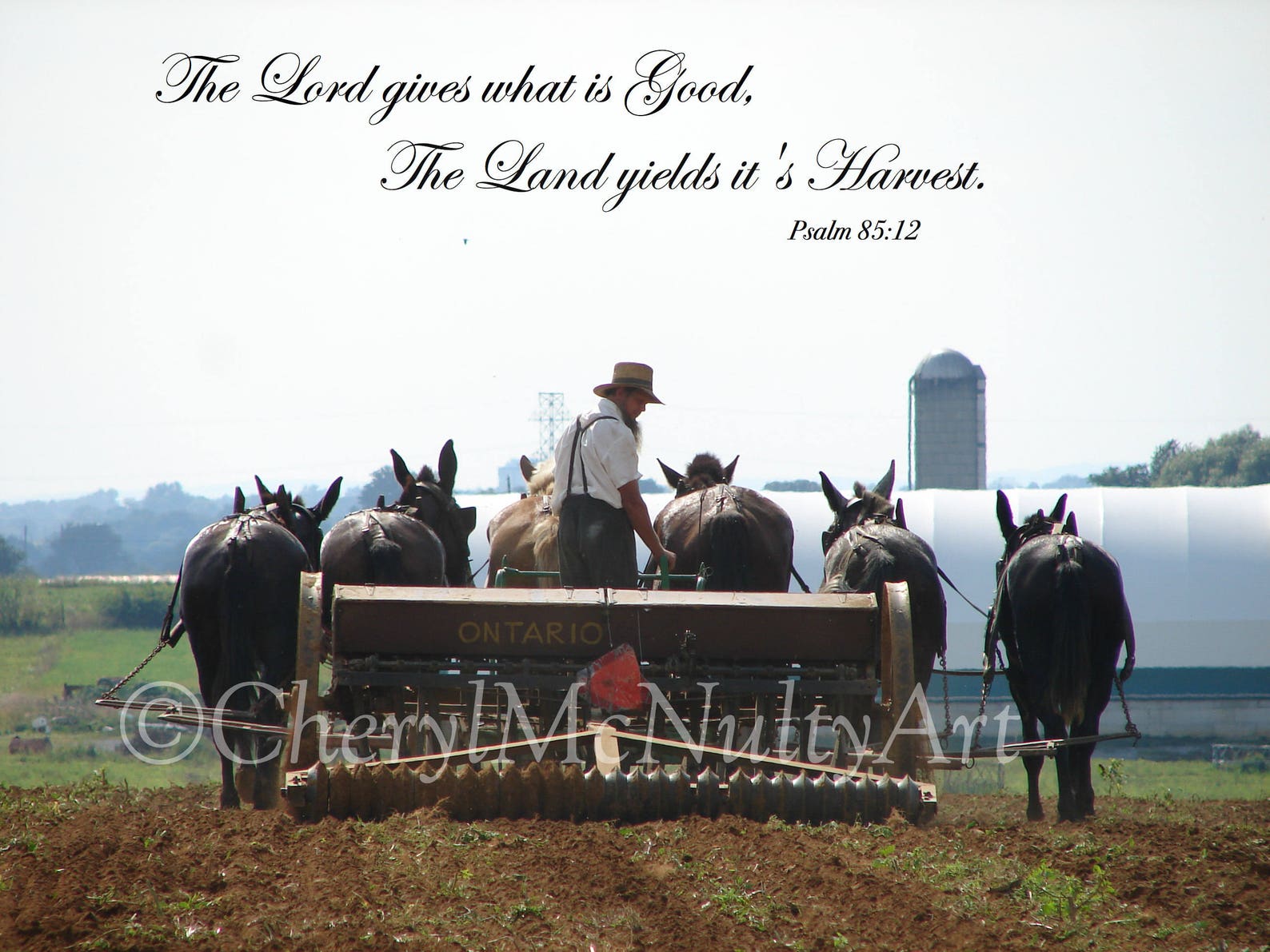 Amish Plowing Field Photographic Print With Inspirational - Etsy