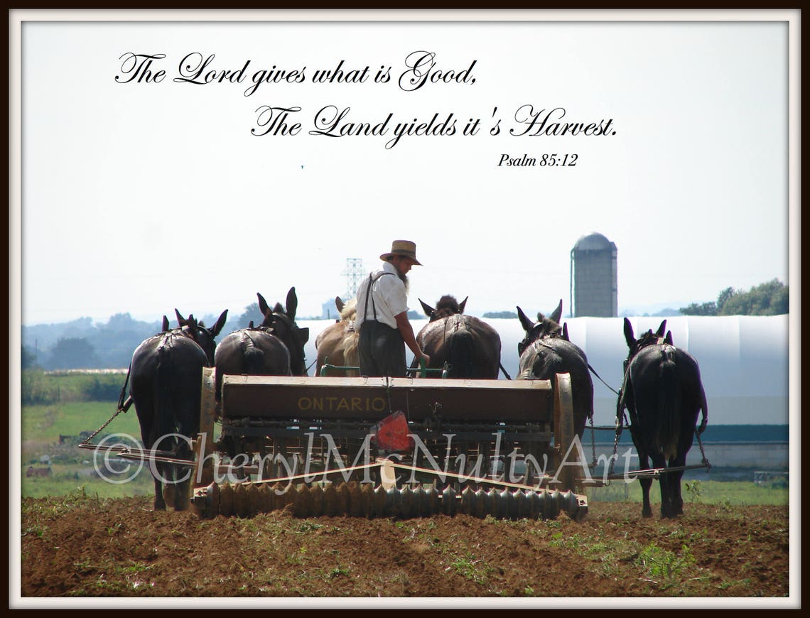 Amish Plowing Field Photographic Print With Inspirational - Etsy