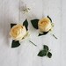 Yellow Rose Buttonholes Lemon Rose Buttonhole Best Man Flowers Groom ...