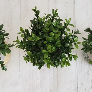 Faux Plant in Pot Artificial Green Boxwood Plant in Concrete Stone Face ...