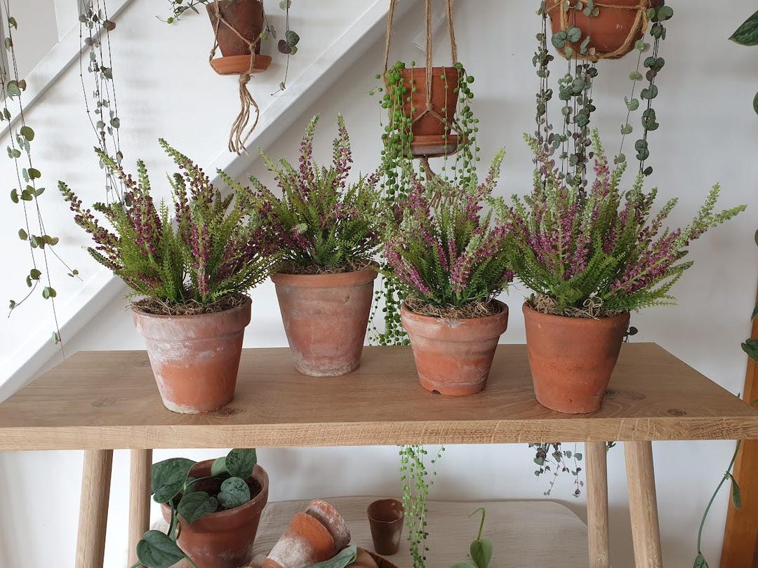 Faux Pink Heather Plant in Vintage Terracotta Pot: Artificial Indoor ...