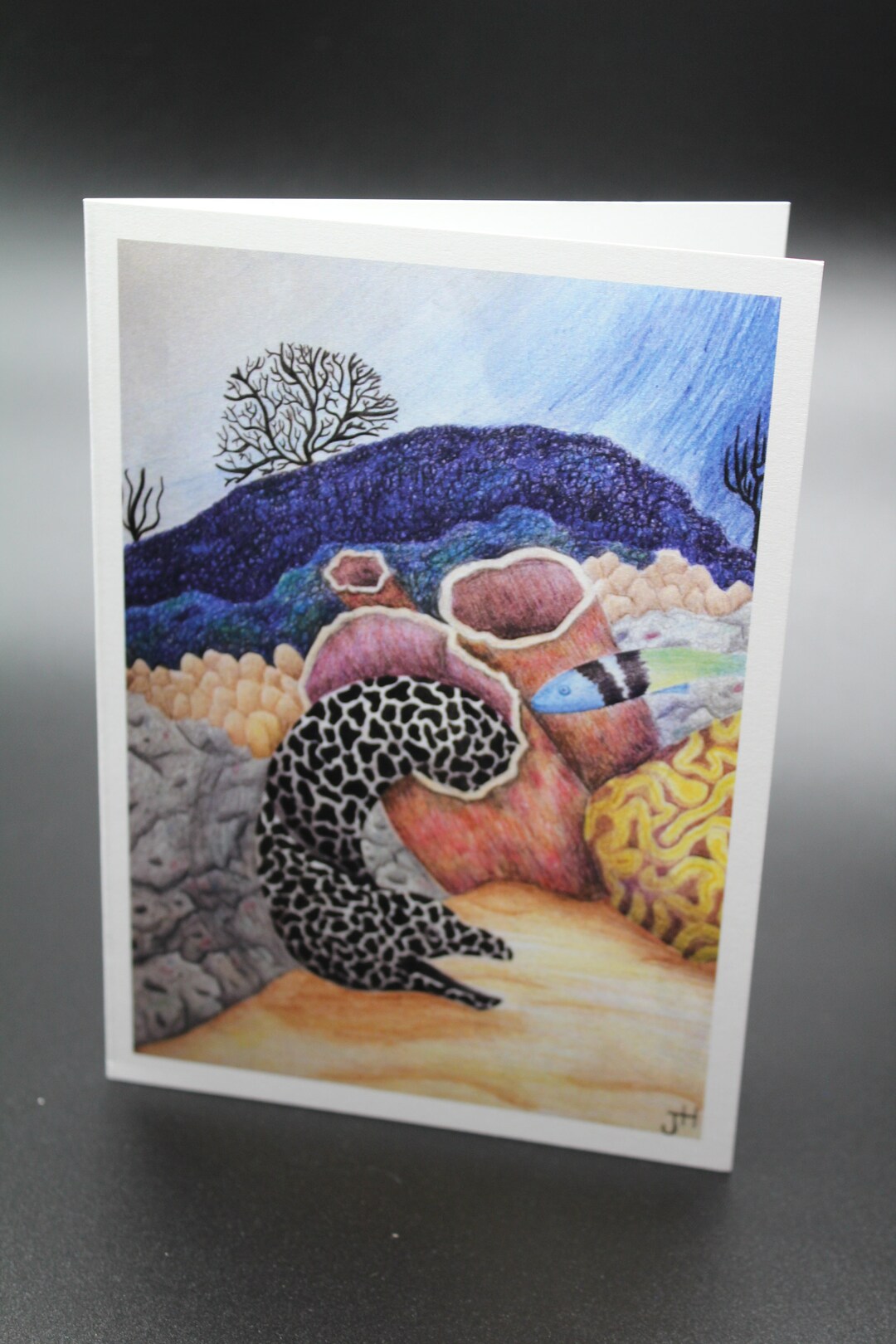 10 Pack-color Pencil Underwater Theme With Spotted Moray Eel & Wrasse ...