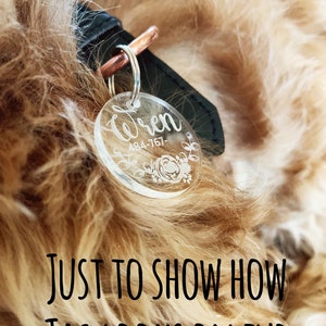 Funny Dog Tag, Stay Wild Engraved Cast Acrylic Dog Tag - Etsy