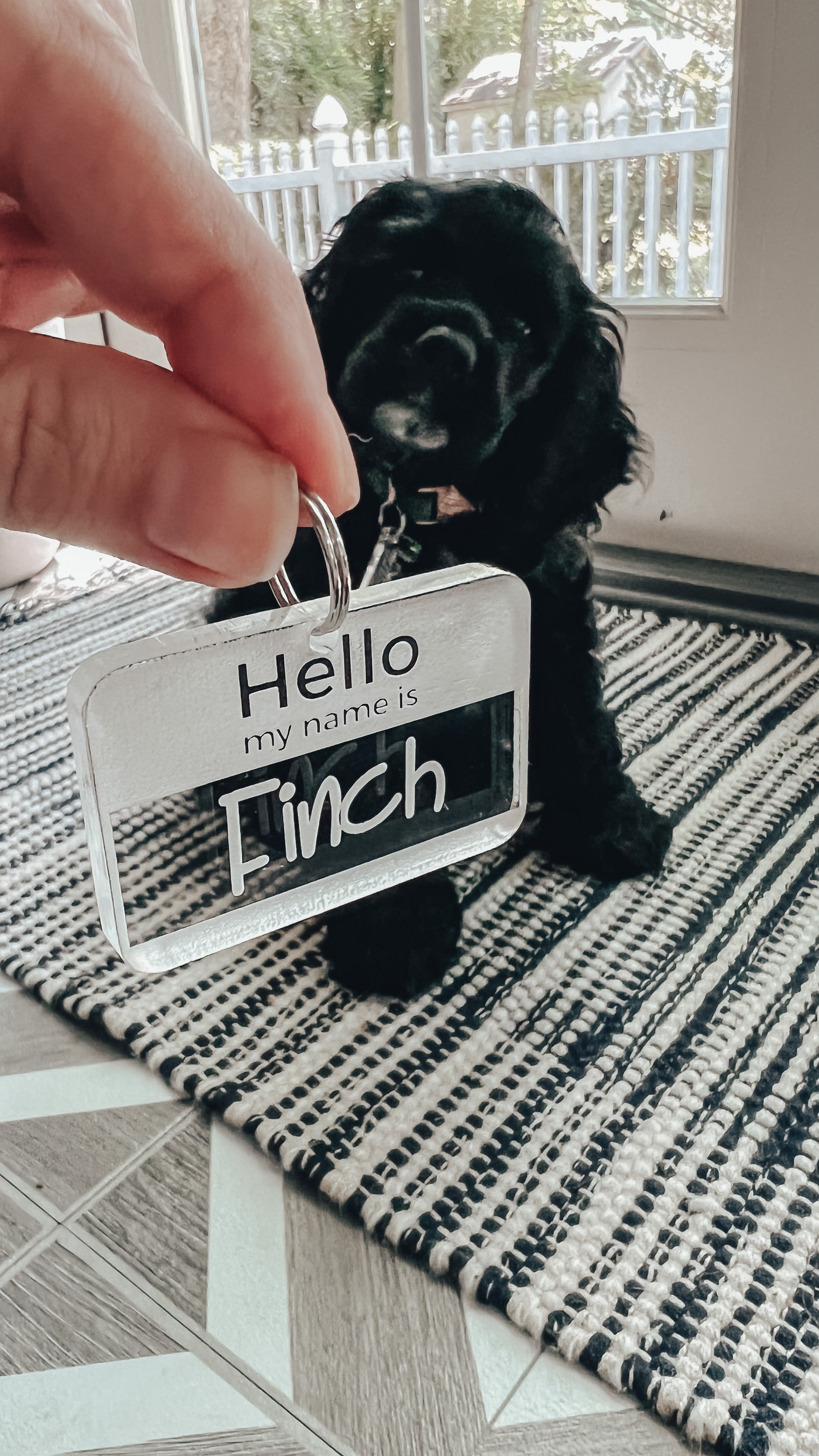 Hello My Name Is: Dog Name Tag, Thick Acrylic - Etsy
