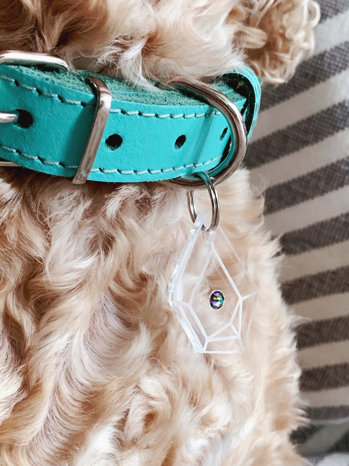 Daisy Flower Engraved Cast Acrylic Dog Tag With Swarovski Crystal ...